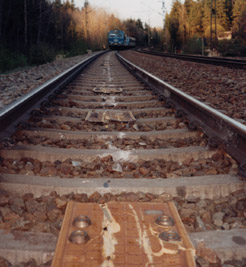 Lasses hemsida, dagbok